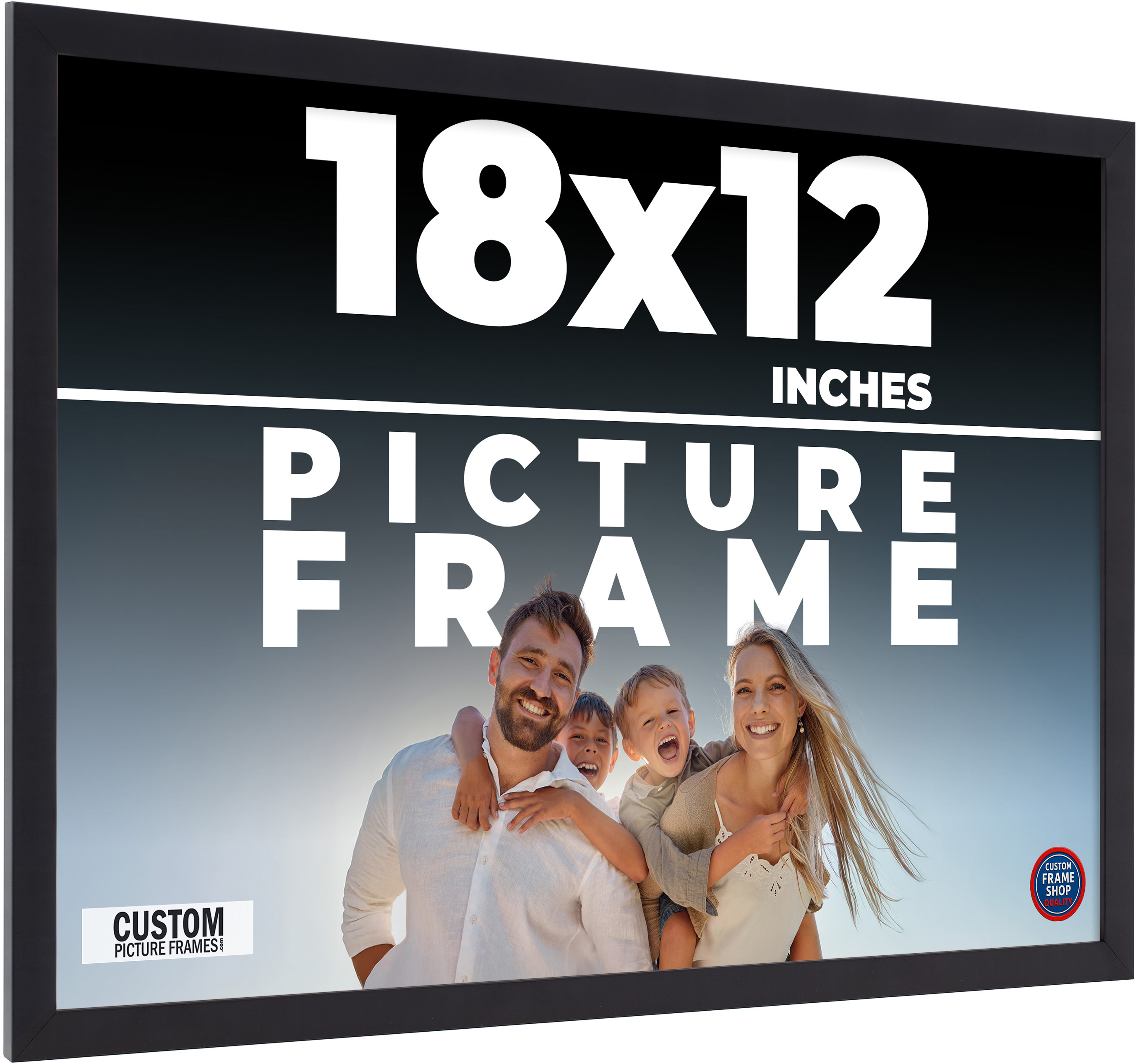 18x12 Frame Black Picture Frame Modern Photo Frame UV Acrylic, Acid ...